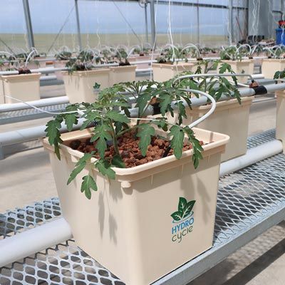 Home - FarmTek - Hydroponic Fodder Systems, Farming & Growing Supplies ...