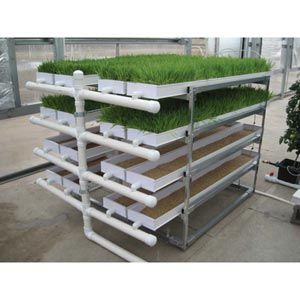 fodder growing systems