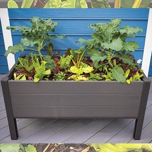 elevated beds garden