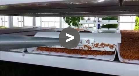 Home - FarmTek - Hydroponic Fodder Systems, Farming & Growing Supplies ...