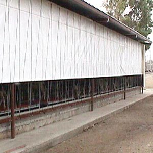 Barn Curtain - FarmTek