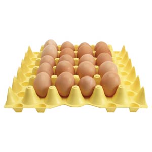 30-Egg Plastic Tray - FarmTek