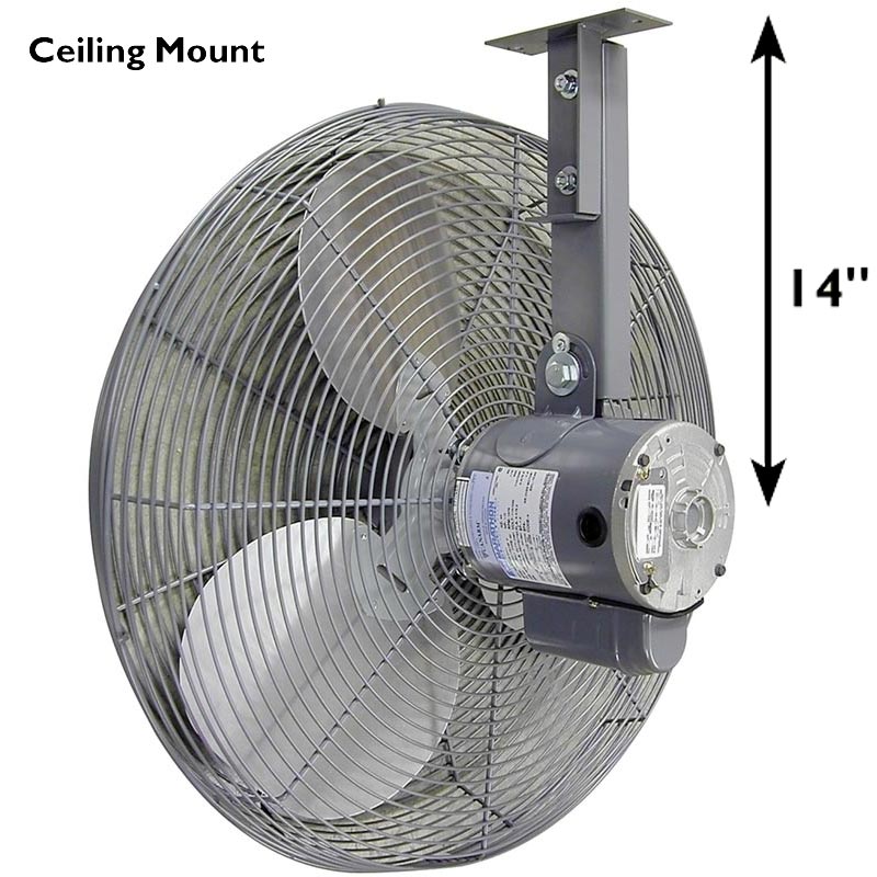 Commercial Circulation Fans